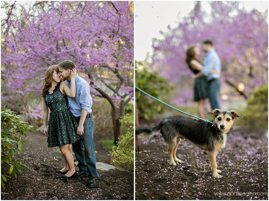 philadelphia-art-museum-engagement-photos-018-2 - Philadelphia Portrait ...